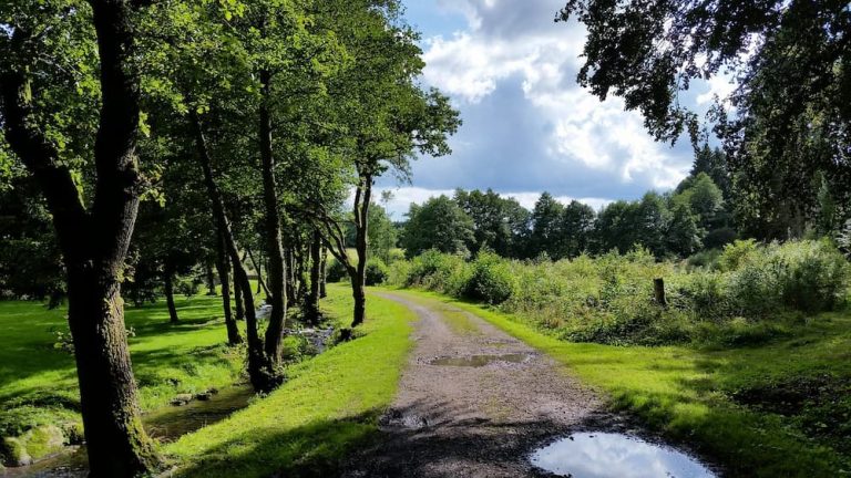 Belgium’s Geography and Landscape: From Coastal Plains to Forested ...