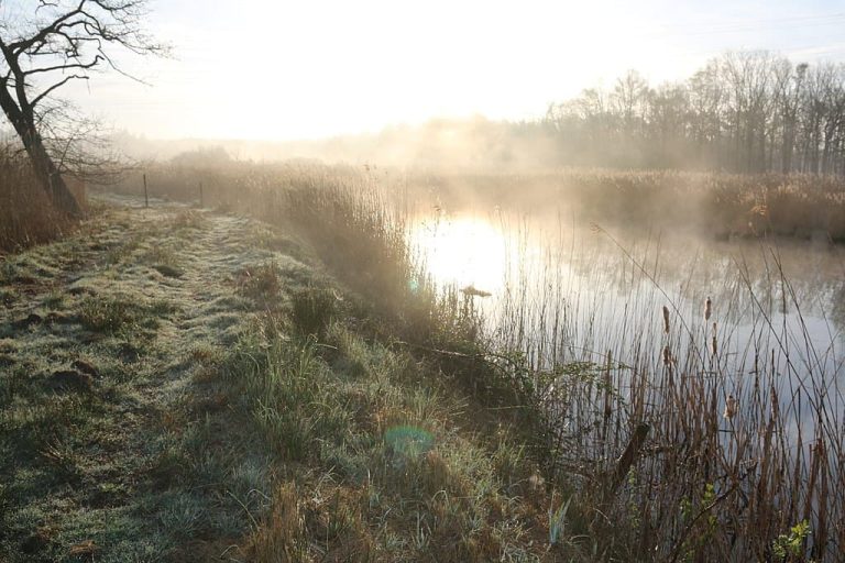 The Best National Parks and Nature Reserves in Belgium - Been To Belgium
